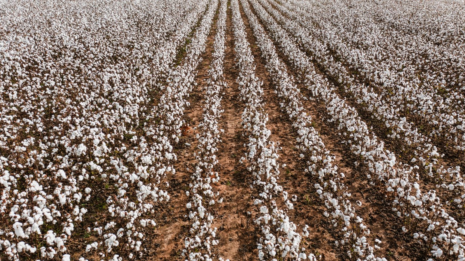 Cotton demand needs to pick up - Indian Textile Journal